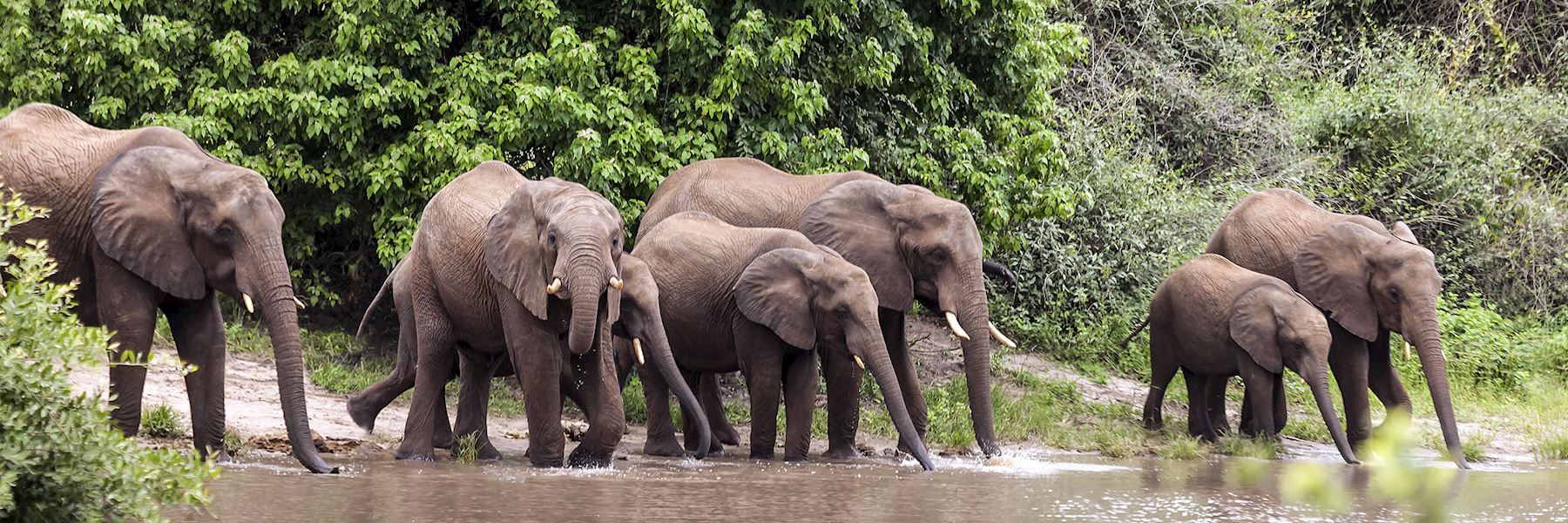 Visit Chobe National Park on a trip to Botswana | Audley Travel