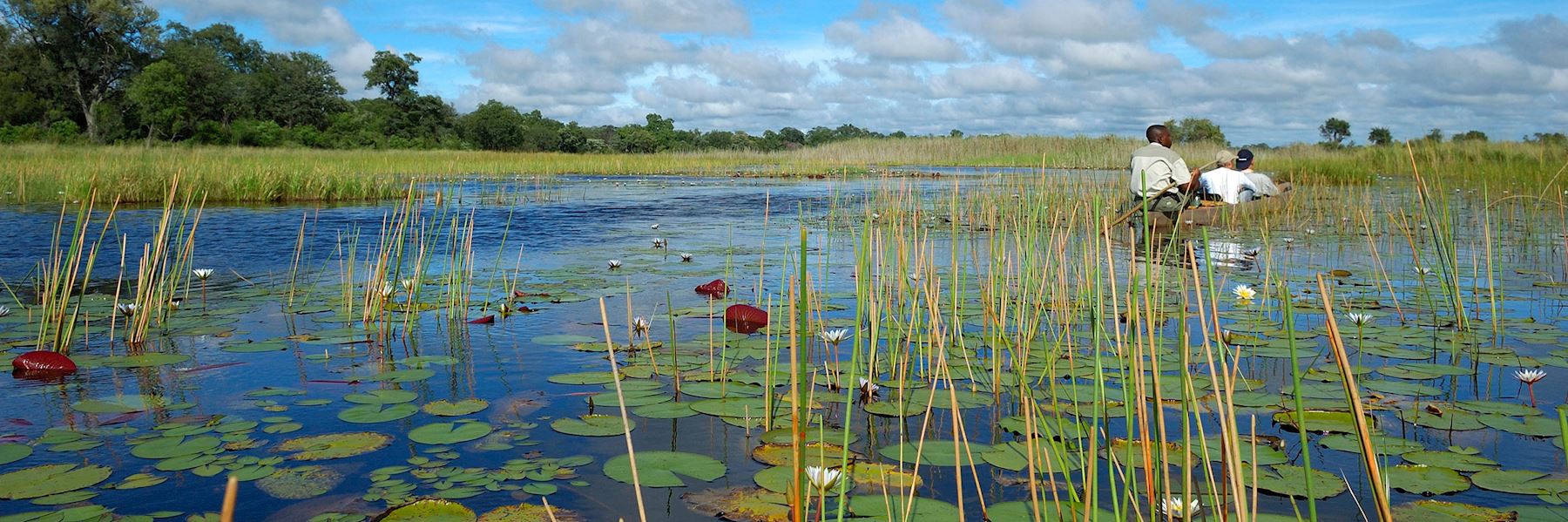 Visit the Okavango Delta on a trip to Botswana | Audley Travel