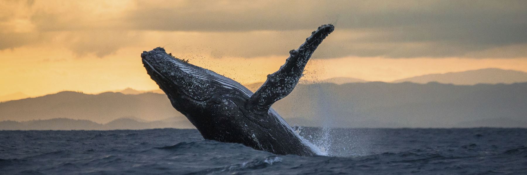 Discover things to do in Madagascar | Audley Travel