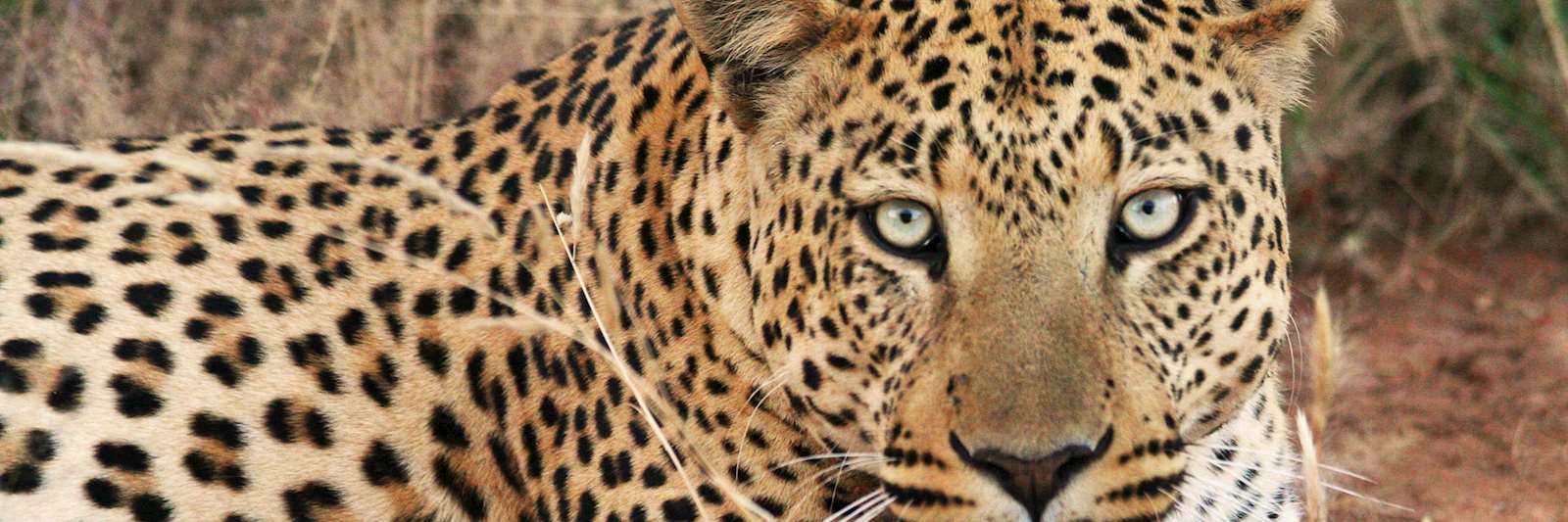 Namibia family safari | Audley Travel US