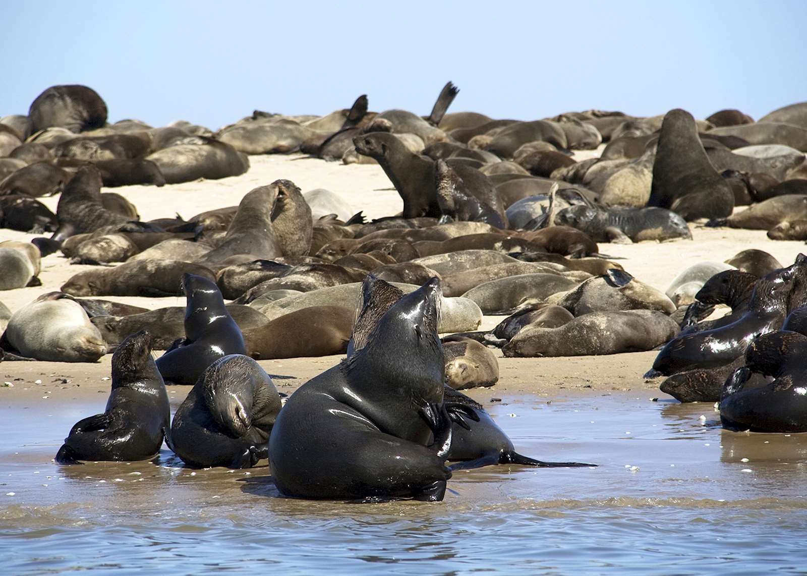 Best honeymoons in Namibia | Audley Travel US