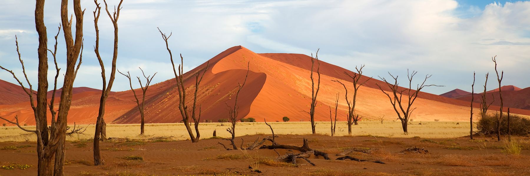 Tailor-Made Namibia Holidays | Namibia Safaris | Audley Travel