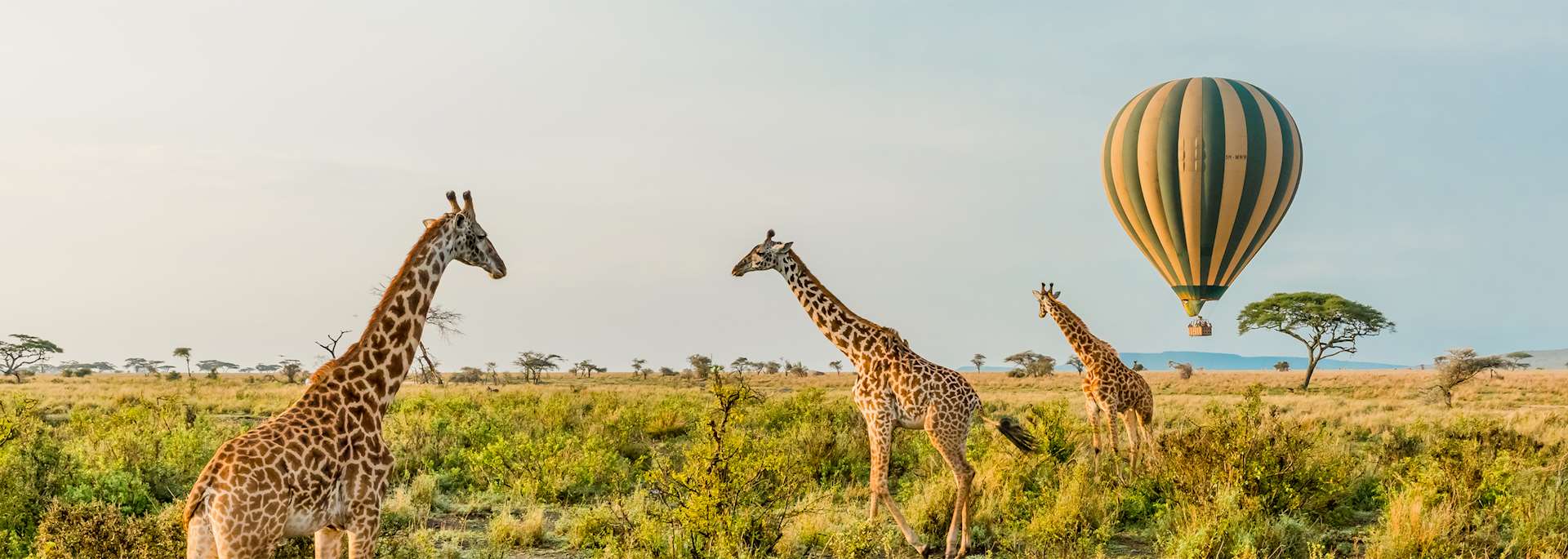 Tailor-made Africa tours 2026 & 2027 | Audley Travel US