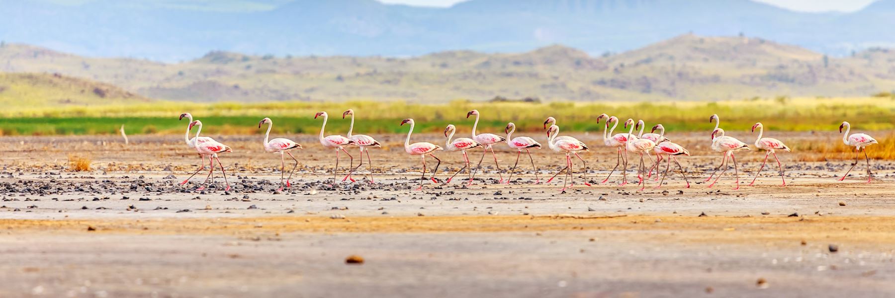 Visit Lake Natron on a trip to Tanzania | Audley Travel
