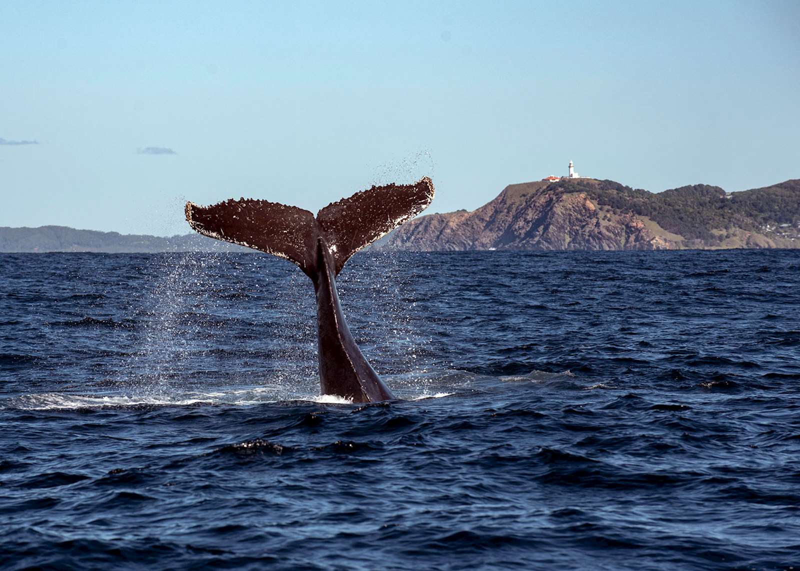 A world beyond Sydney: 3 road trips around New South Wales | Audley ...
