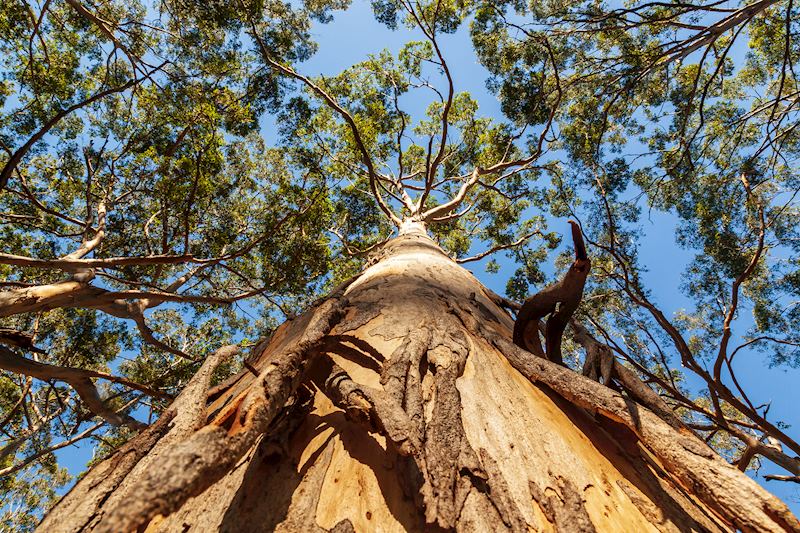 A second-time visitors guide to Australia | Audley Travel UK