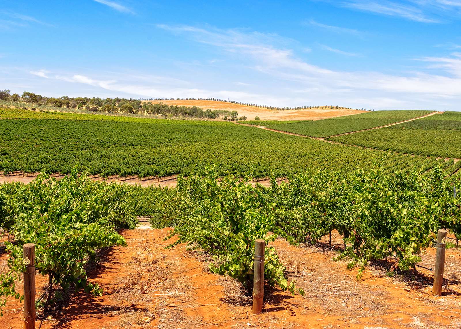 Shining a spotlight on South Australia's wildlife & landscapes | Audley ...
