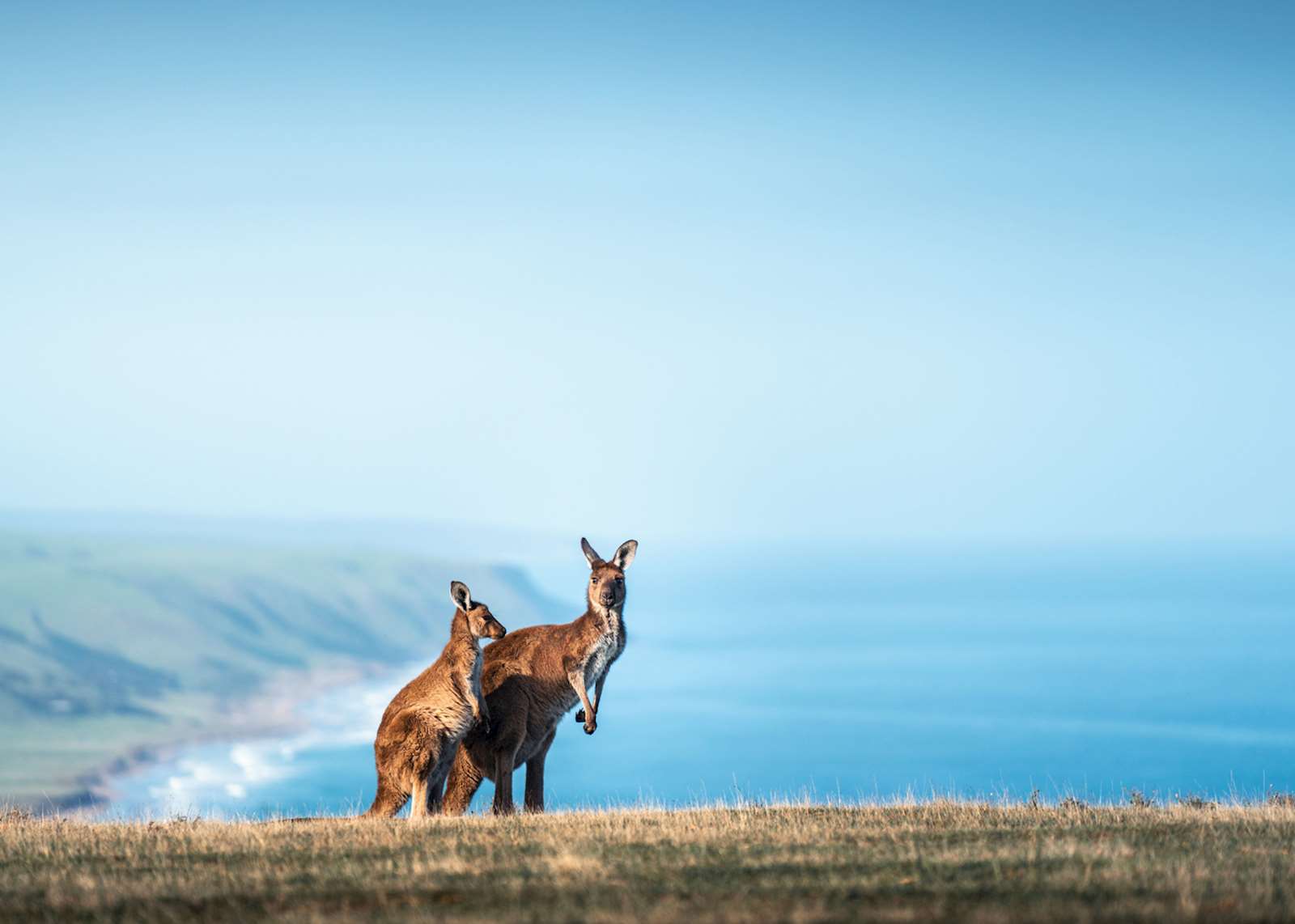 Beyond the rails: The Ghan & other experiences | | Audley Travel CA