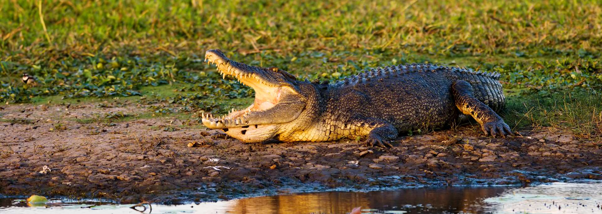 Top 33 things to do in Australia | Audley Travel UK