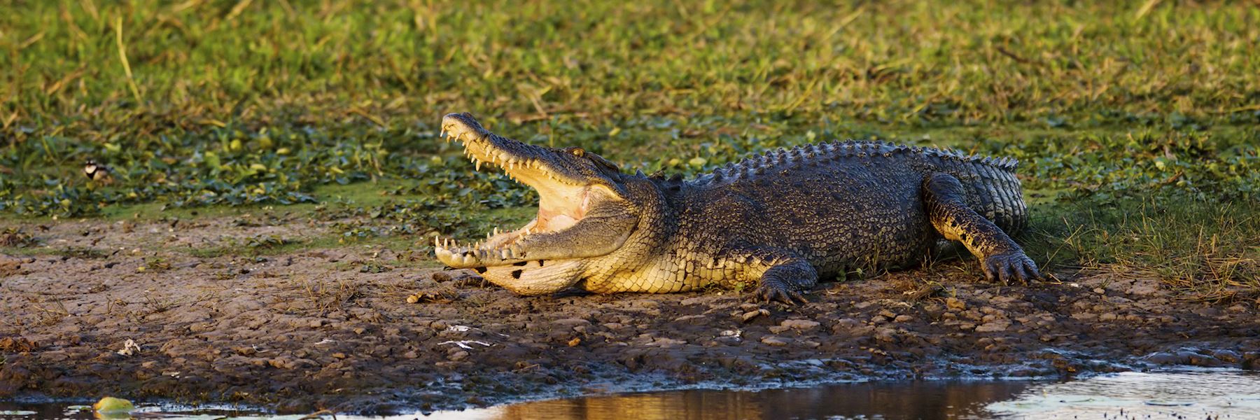 Visit Kakadu National Park in Australia | Audley Travel