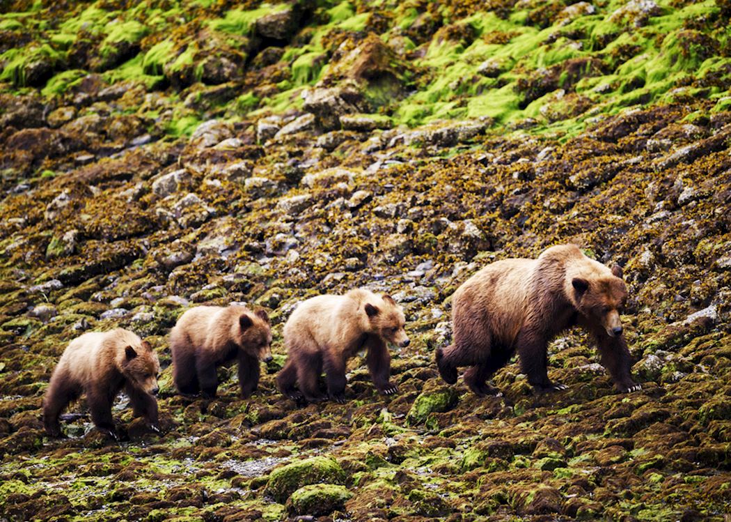 Experience the British Columbia effect | Audley Travel UK