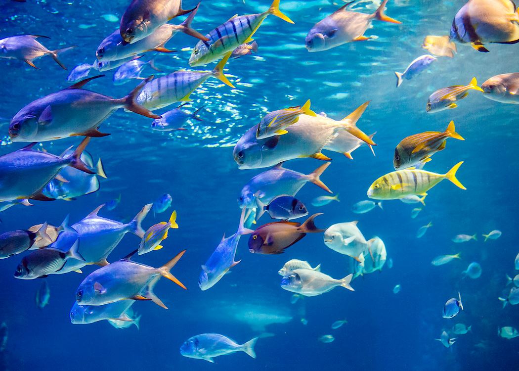 Hawaii: the land of mālama | Audley Travel UK