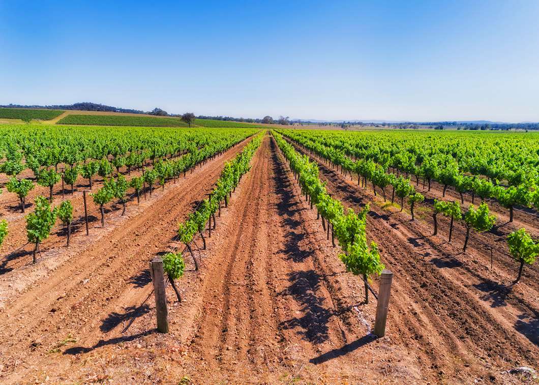 New South Wales: discover a world beyond Sydney | Audley Travel UK