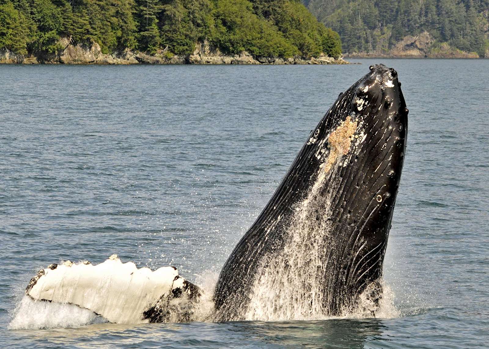 Self-driving in Alaska | Travel guide | Audley Travel UK