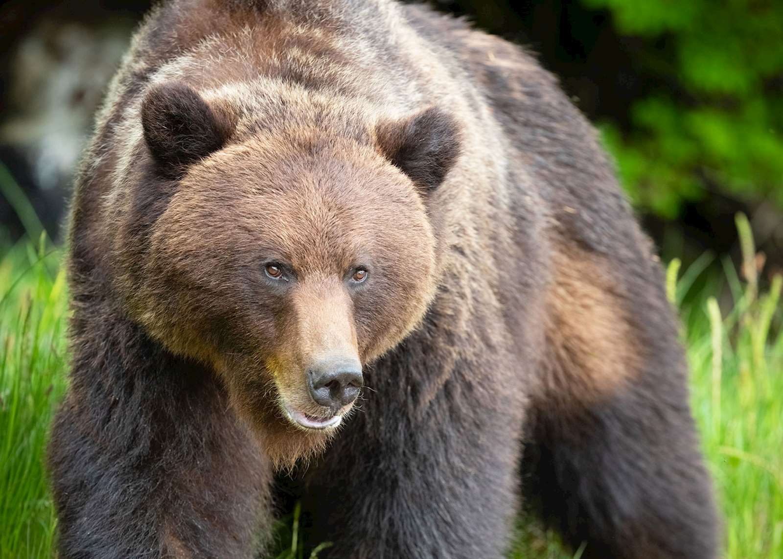 Off-the-beaten track in British Columbia | Audley Travel US