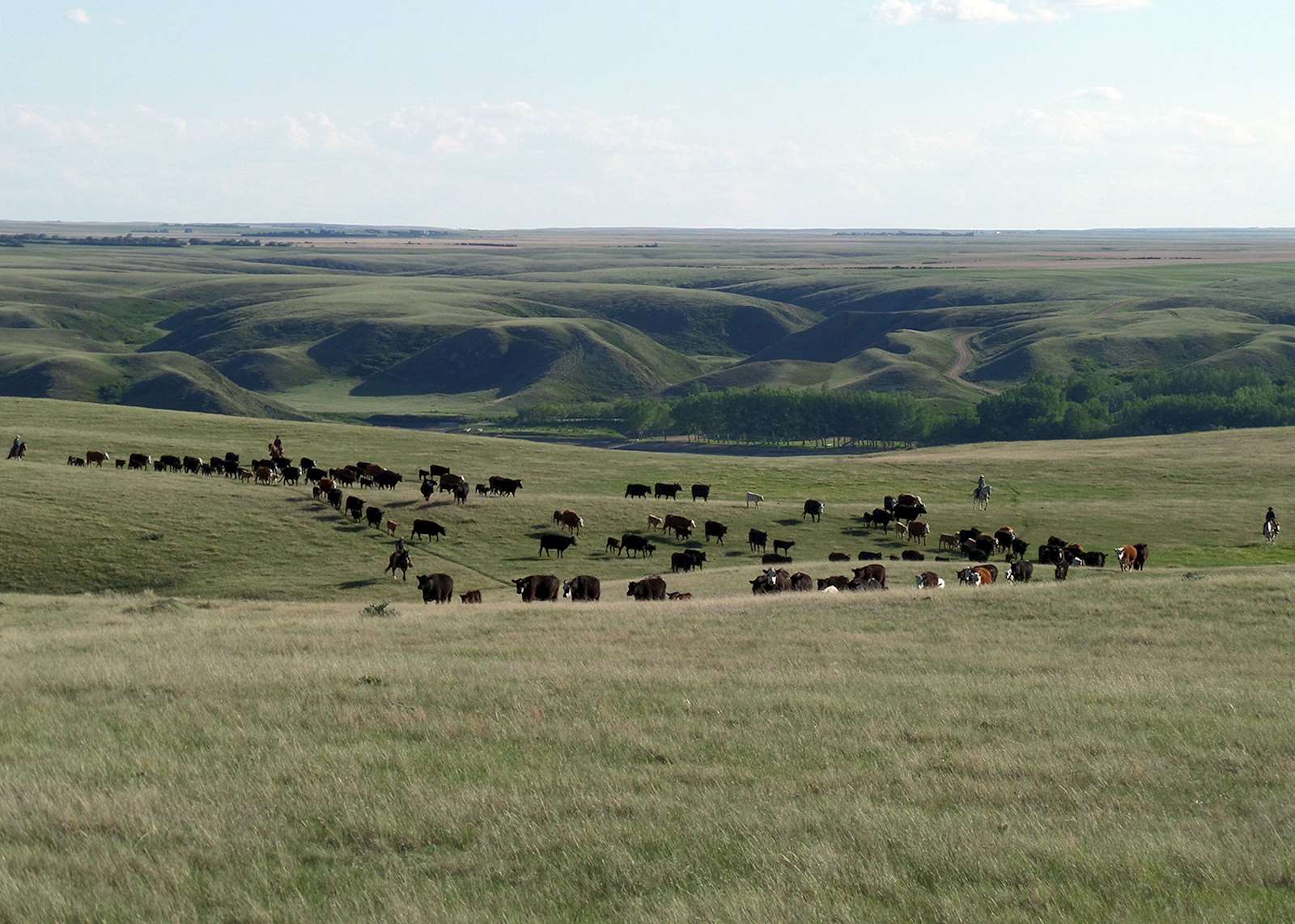 Q&A with a Saskatchewan rancher | Audley Travel UK