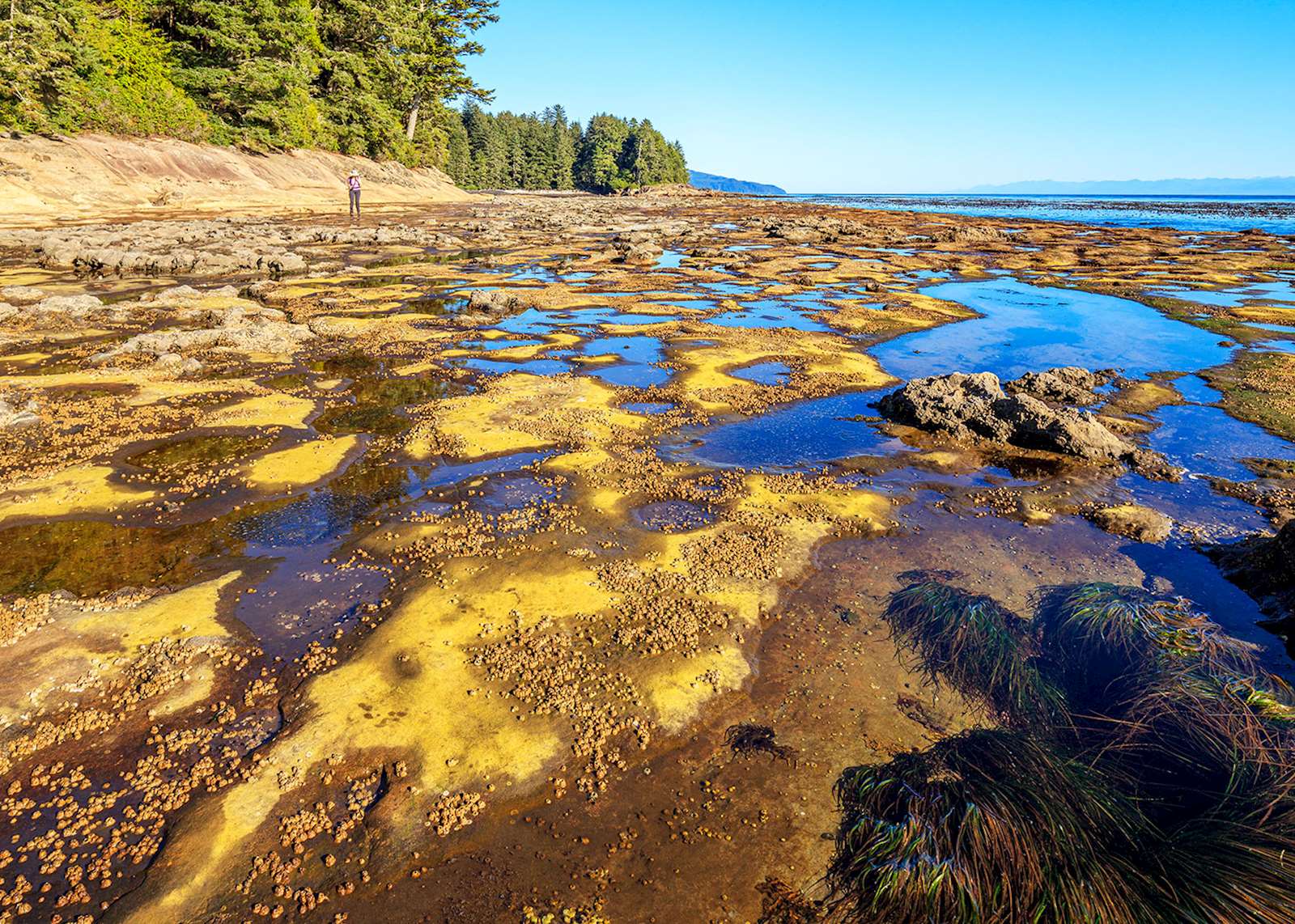 Top 13 things to do on Vancouver Island | Audley Travel UK