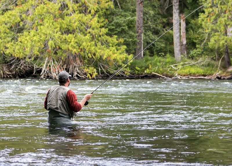 Top wildlife experiences in Canada | Audley Travel UK