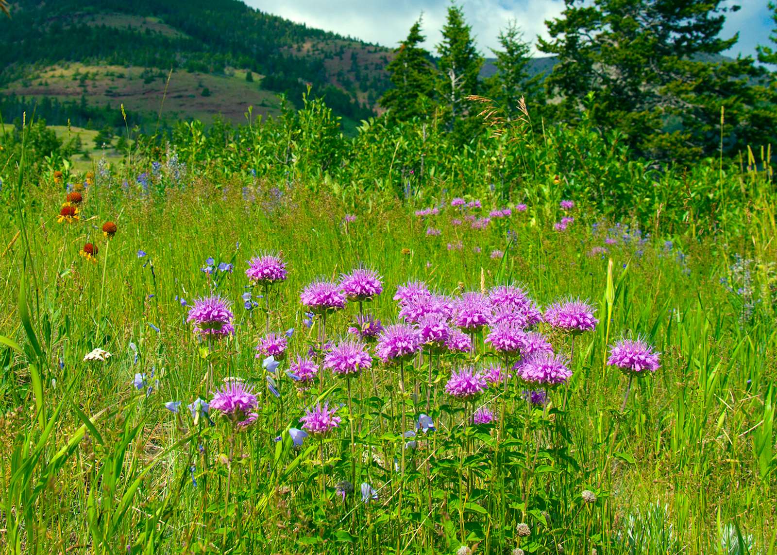 When to visit Alberta | Audley Travel UK