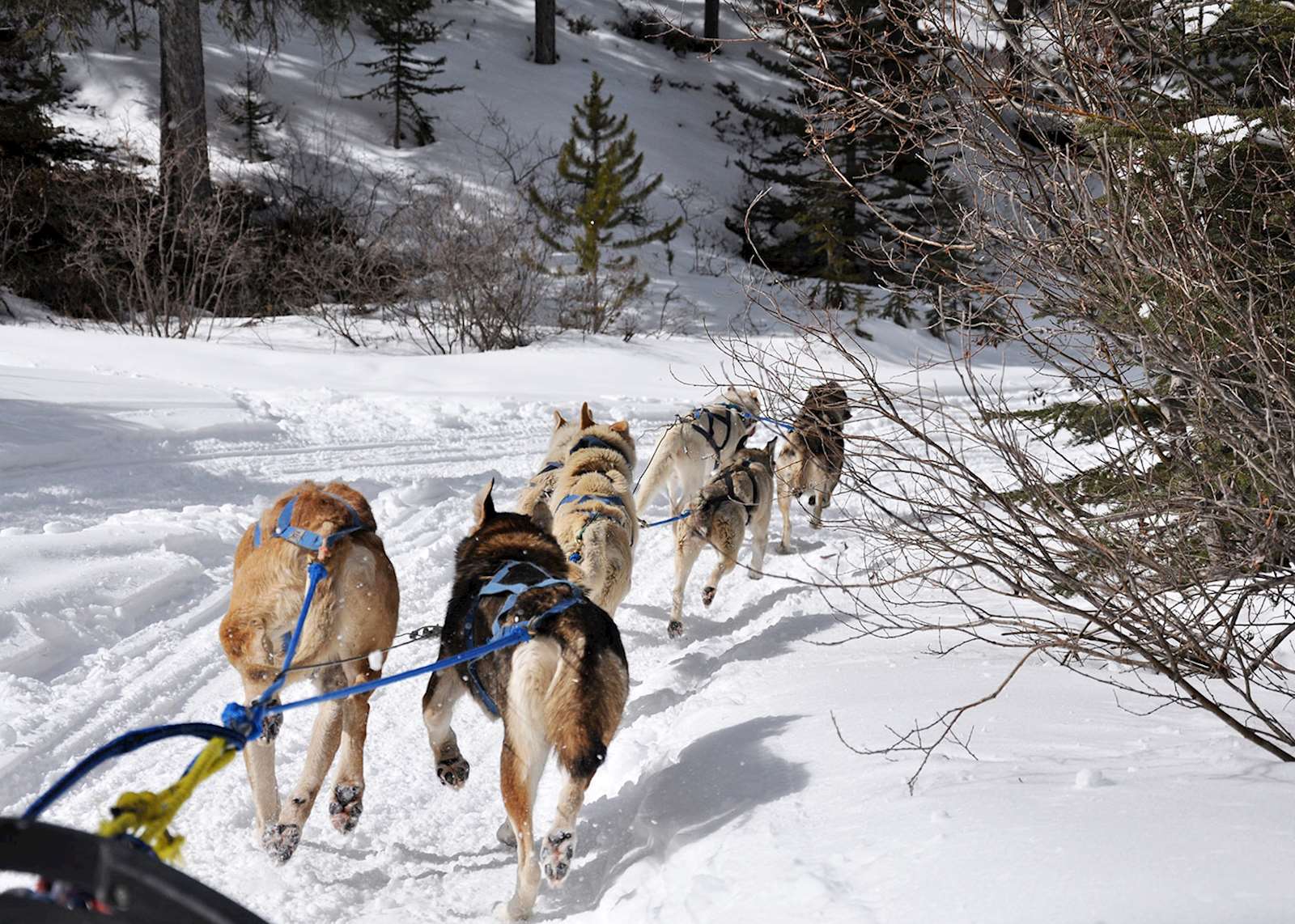 Winter in Canada for families | Travel guide | Audley Travel UK