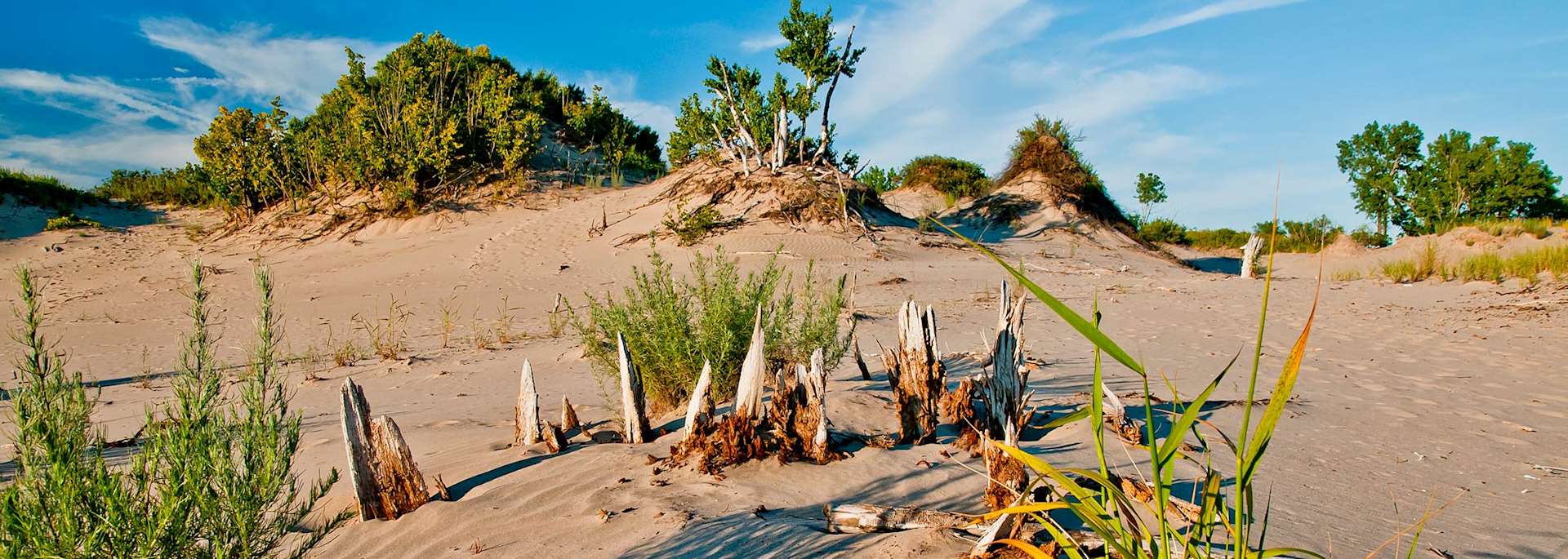 prince edward county