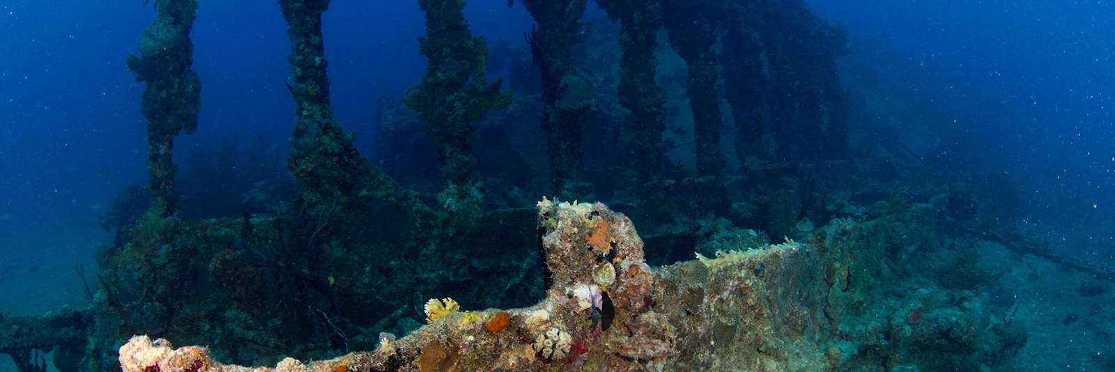 What to do in the British Virgin Islands | Audley Travel UK