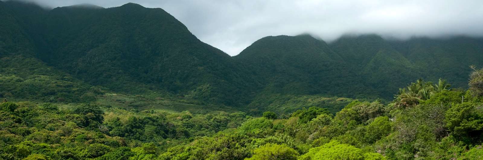 What to do in Saint Kitts and Nevis | Audley Travel UK