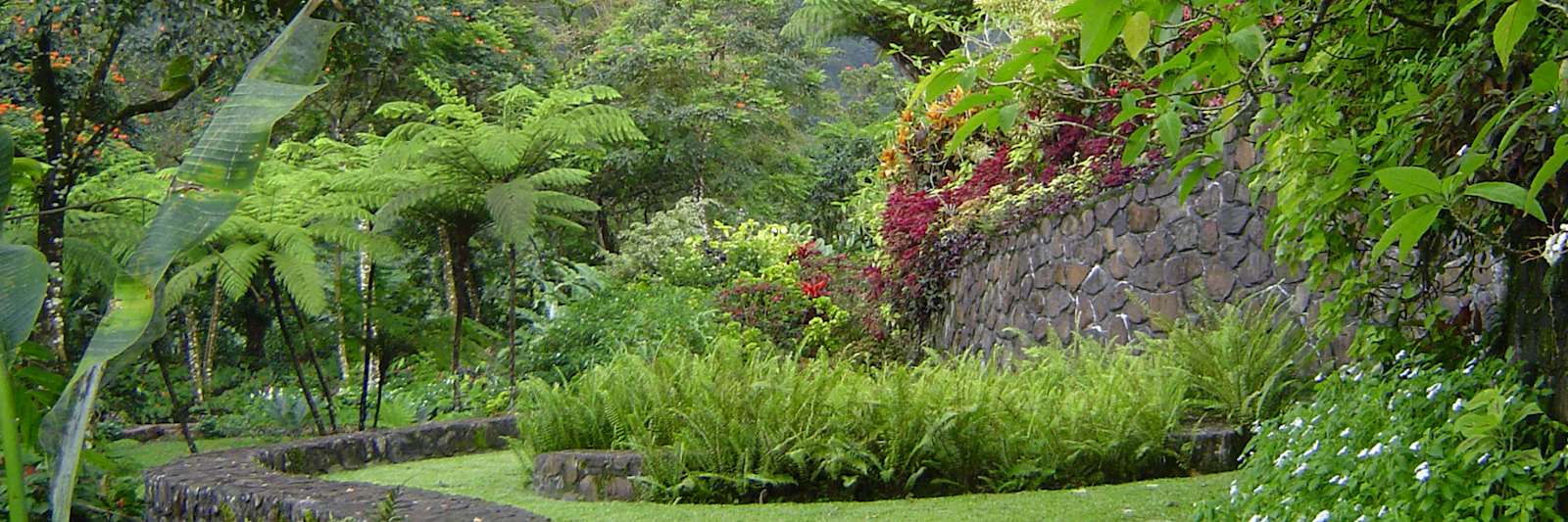 10 Best Things to Do in St Vincent and the Grenadines | Audley Travel UK