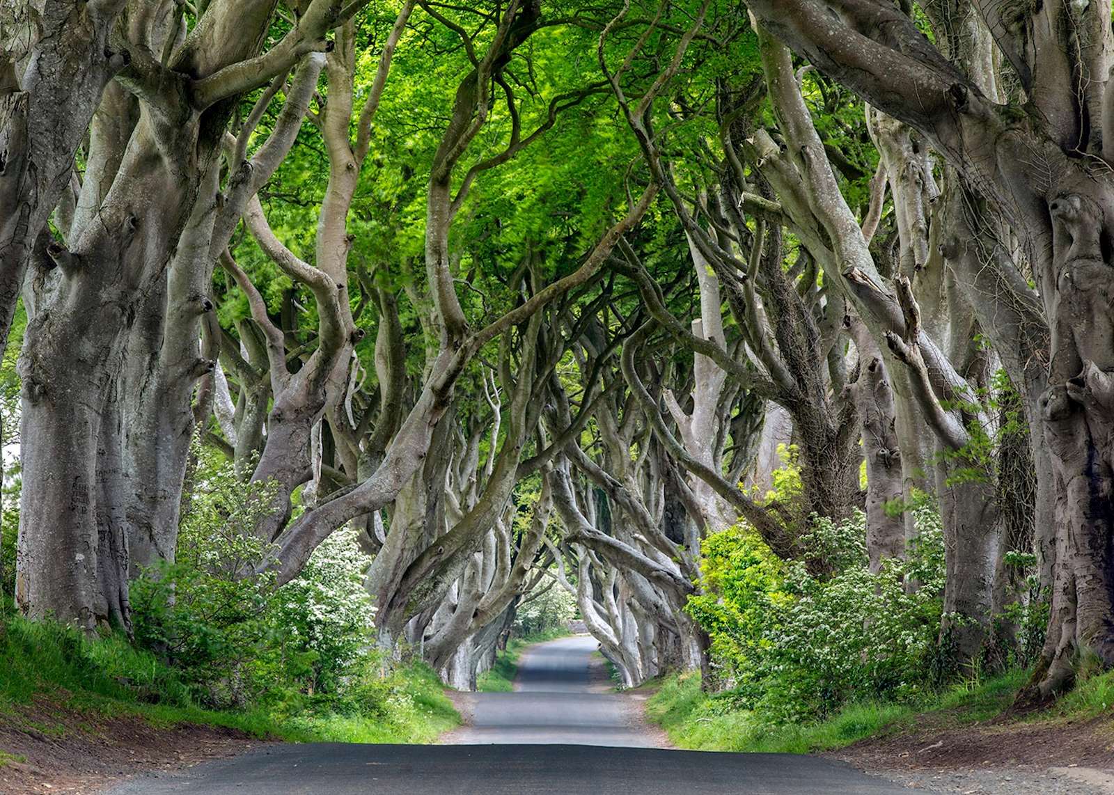 Ireland's natural highlights | Audley Travel US