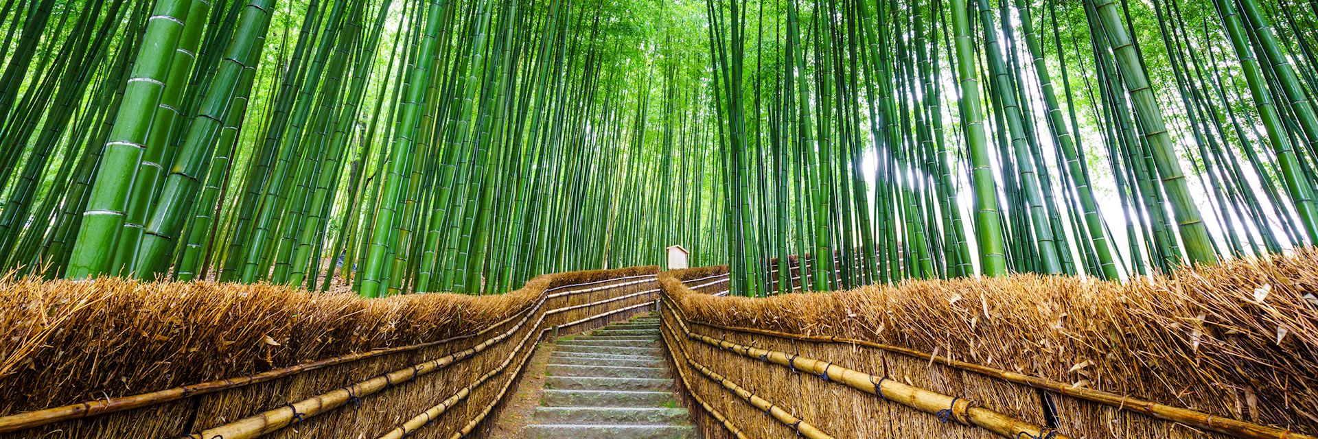 Tailor-Made Tours, Luxury Holidays & Safaris | Audley Travel UK