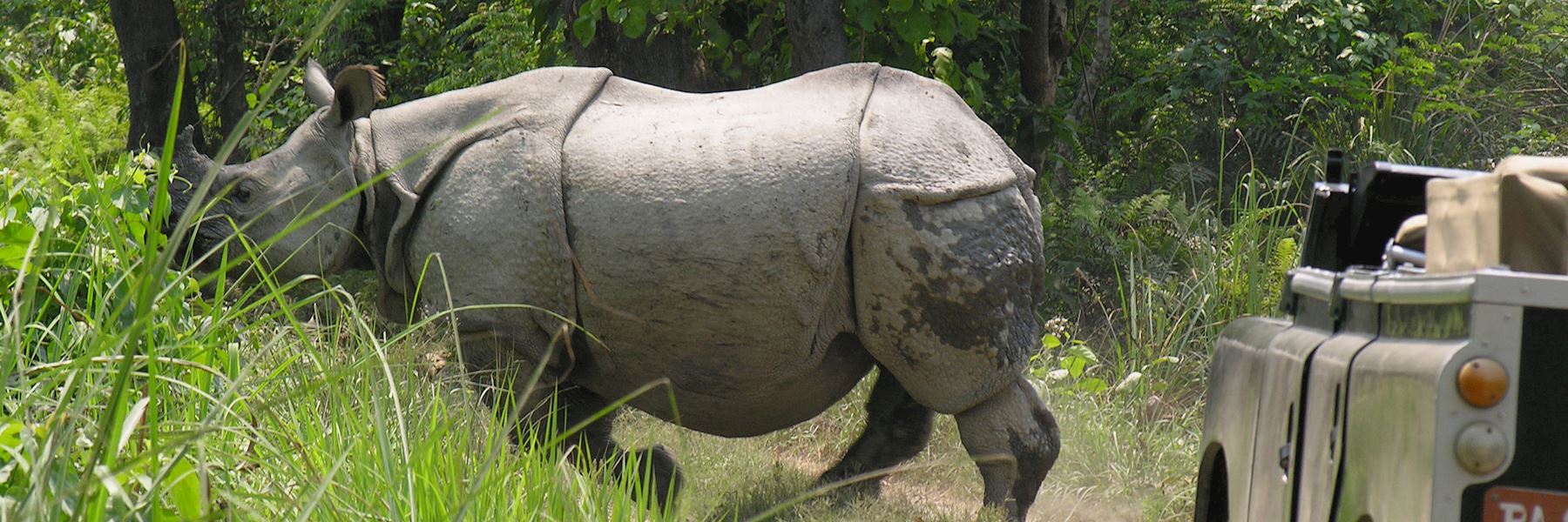 Visit Chitwan National Park in Nepal | Audley Travel