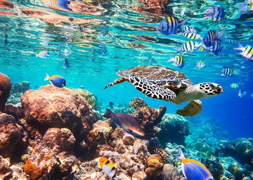 Top ten beach destinations in the world | Audley Travel UK