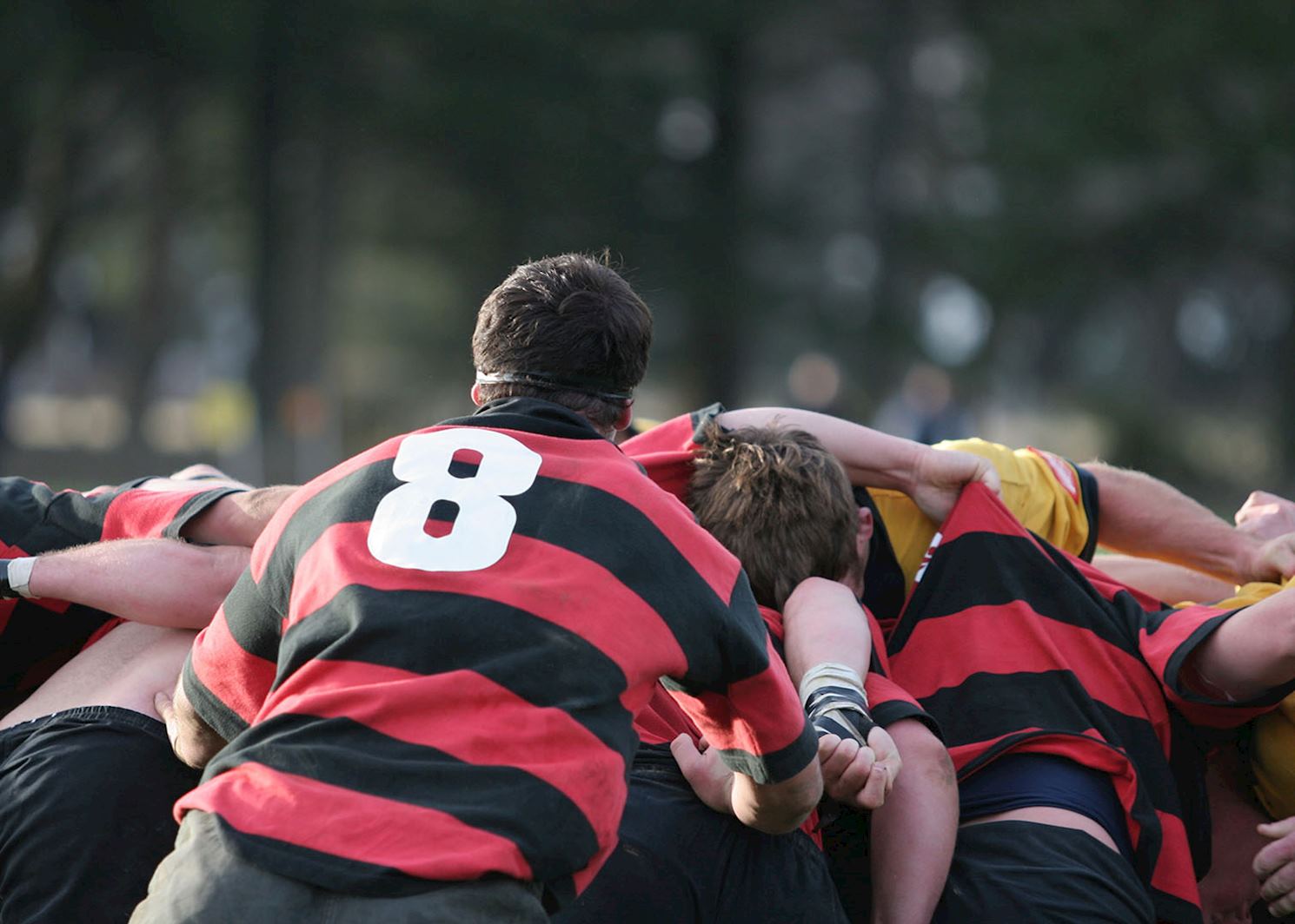 Festivals & Events Around the World in February | Audley Travel