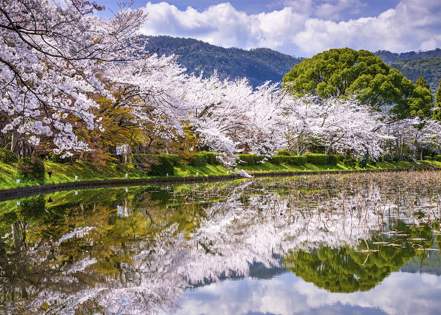 Festivals & Events Around the World in April | Audley Travel US