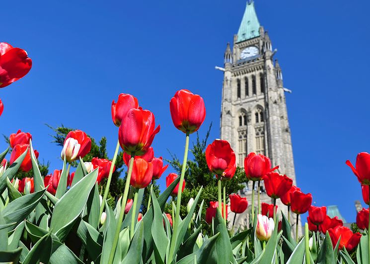 Festivals & Events Around the World in May | Audley Travel UK