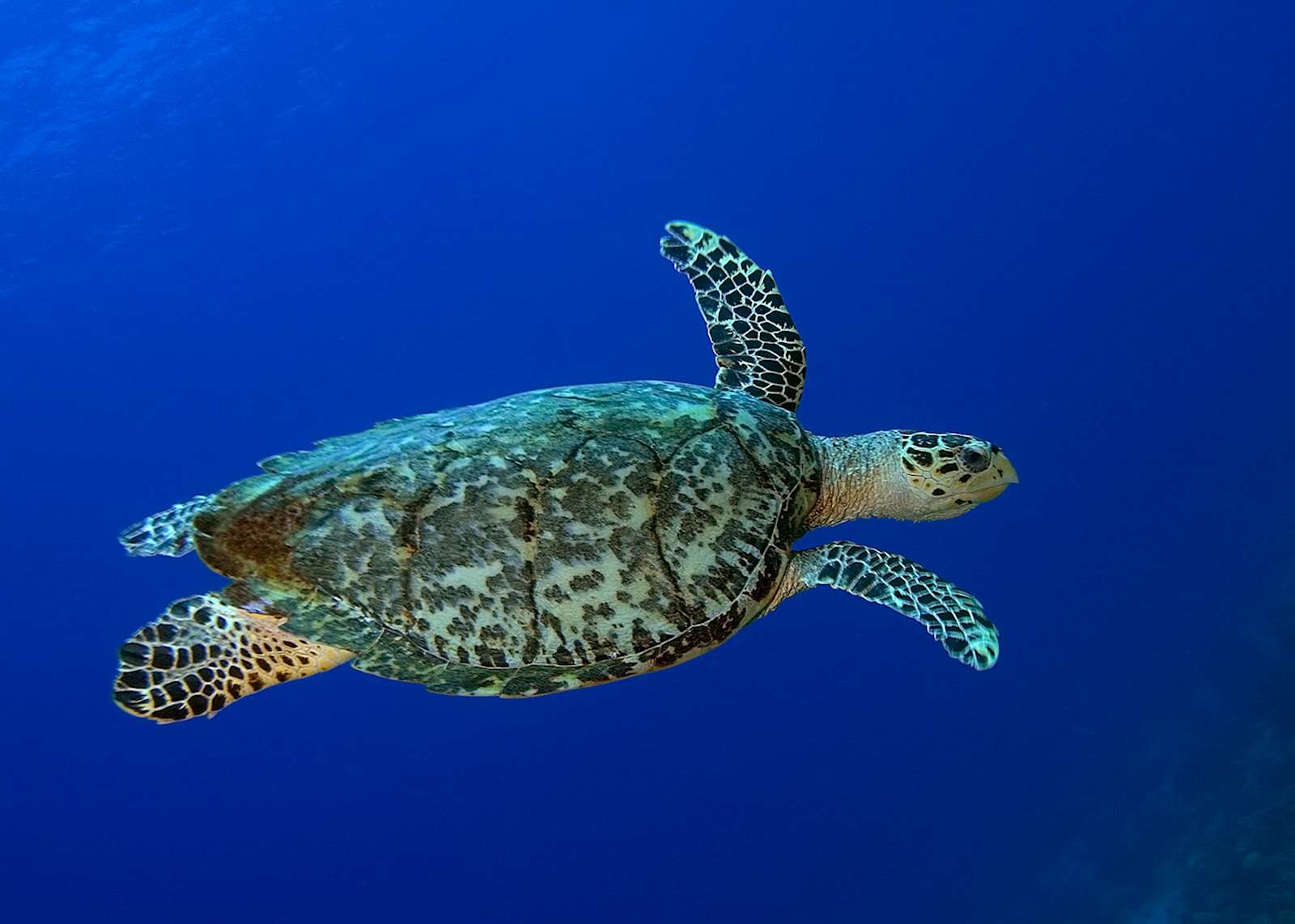 Where is hot in January? | Audley Travel UK