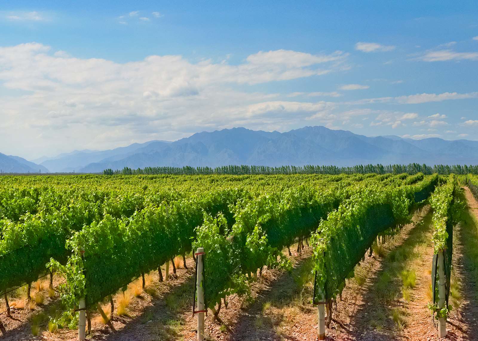 Where is hot in March? | Audley Travel US