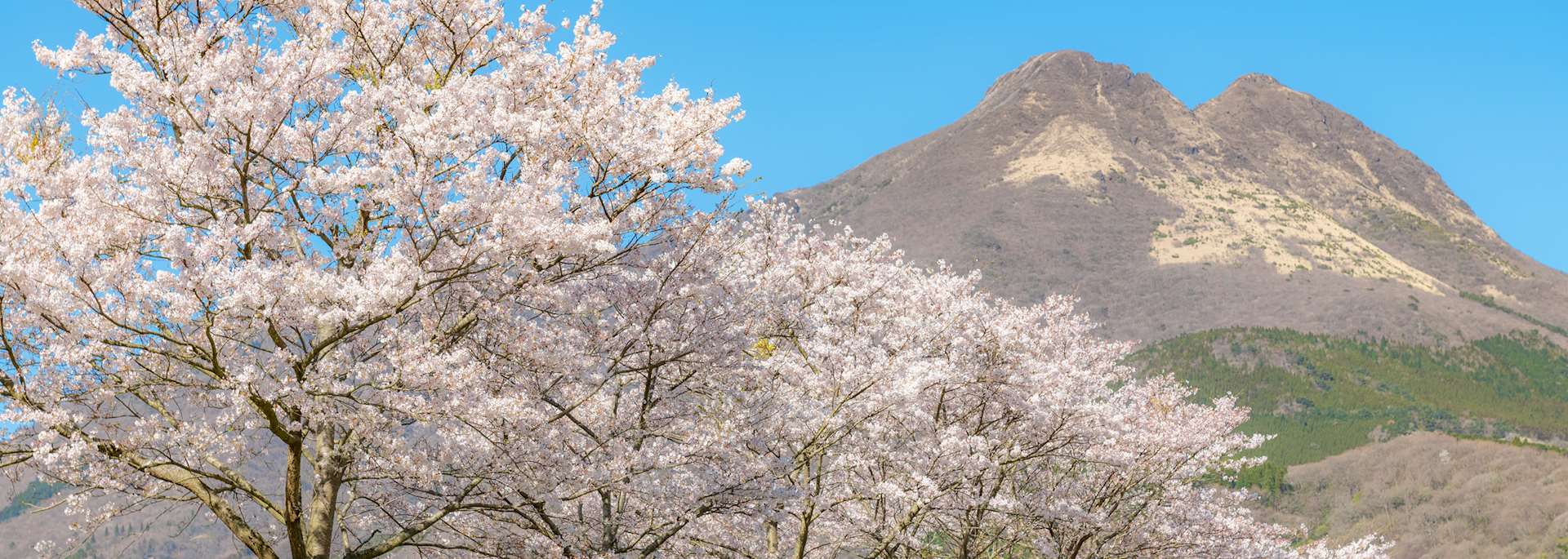 Visit Yufuin on a trip to Japan | Audley Travel US