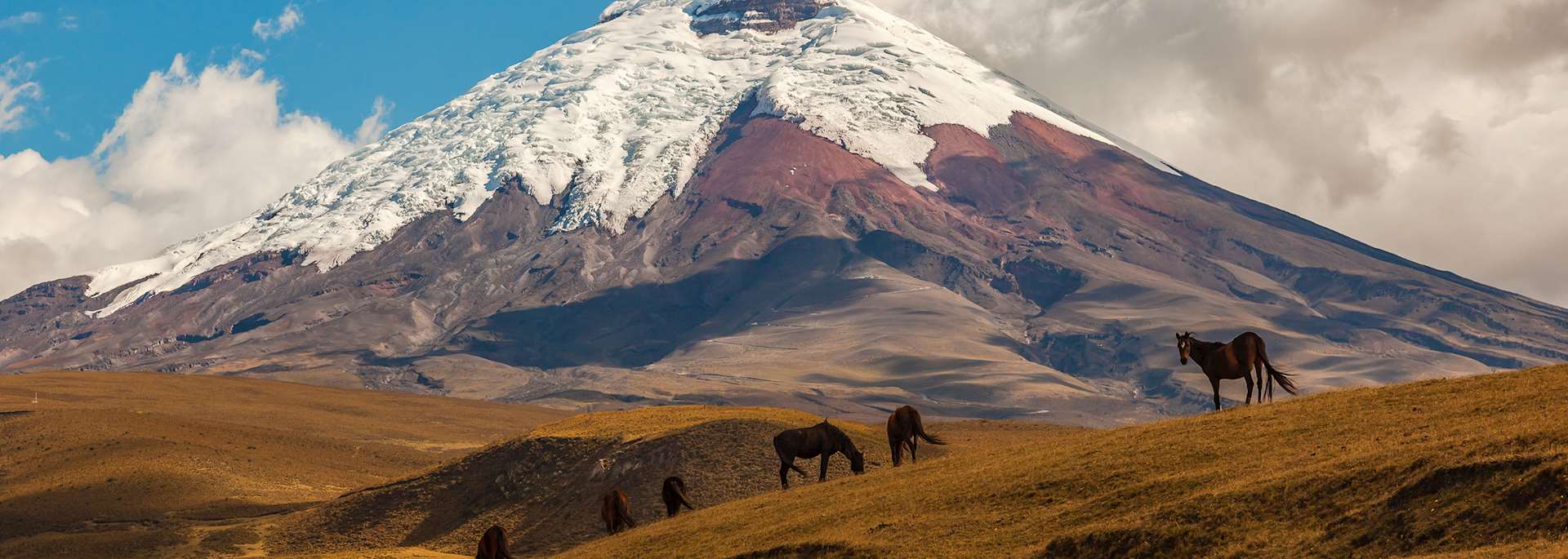 cotopaxi ecuador