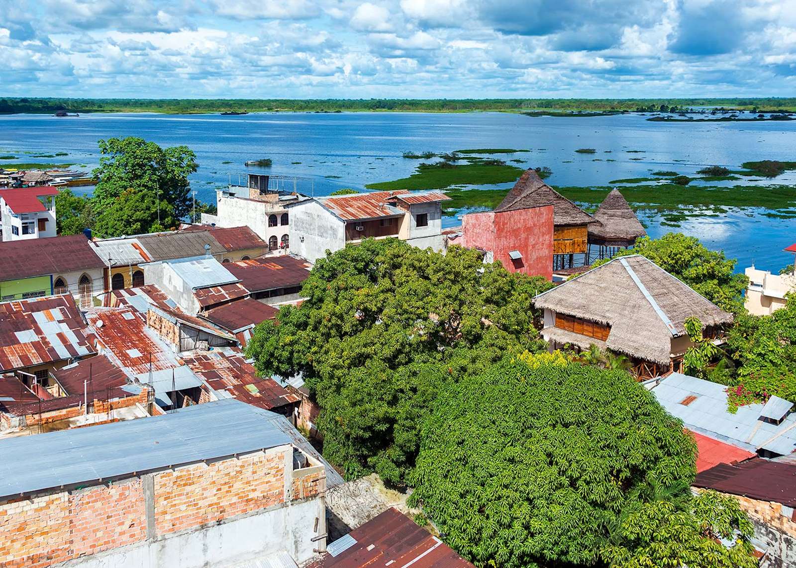 Where to go in the Amazon | Travel guide | Audley Travel US