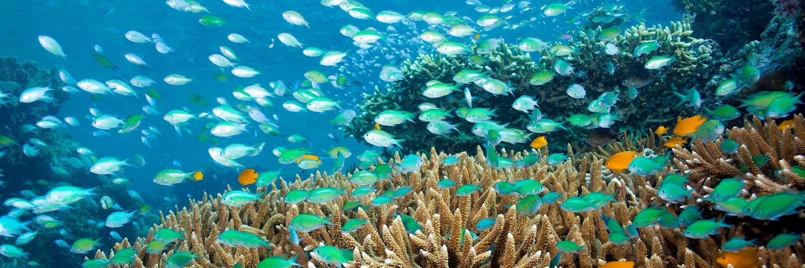Bali Highlights Guide | Audley Travel US
