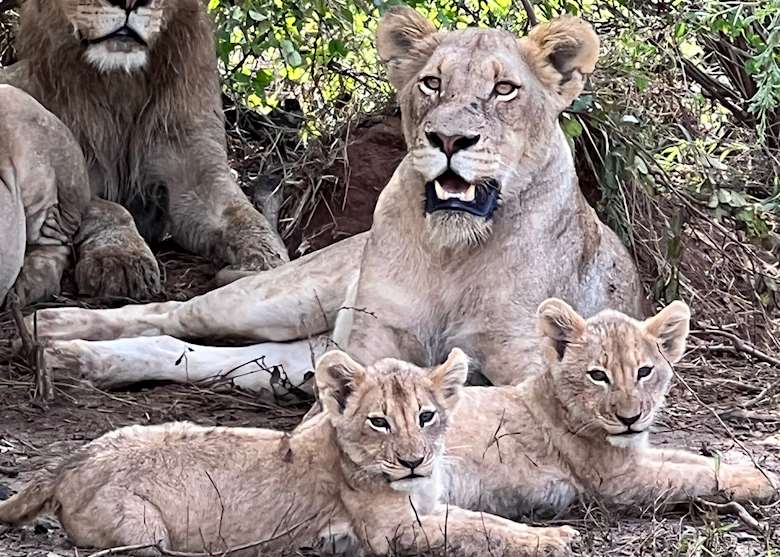 Katie L, Global Travel Advisor | Audley Travel CA