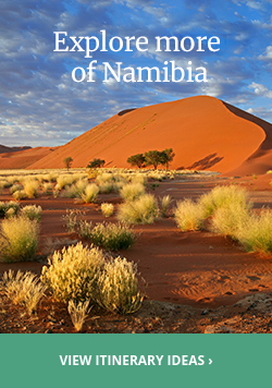 Best Time to Visit Namibia | Climate Guide | Audley Travel